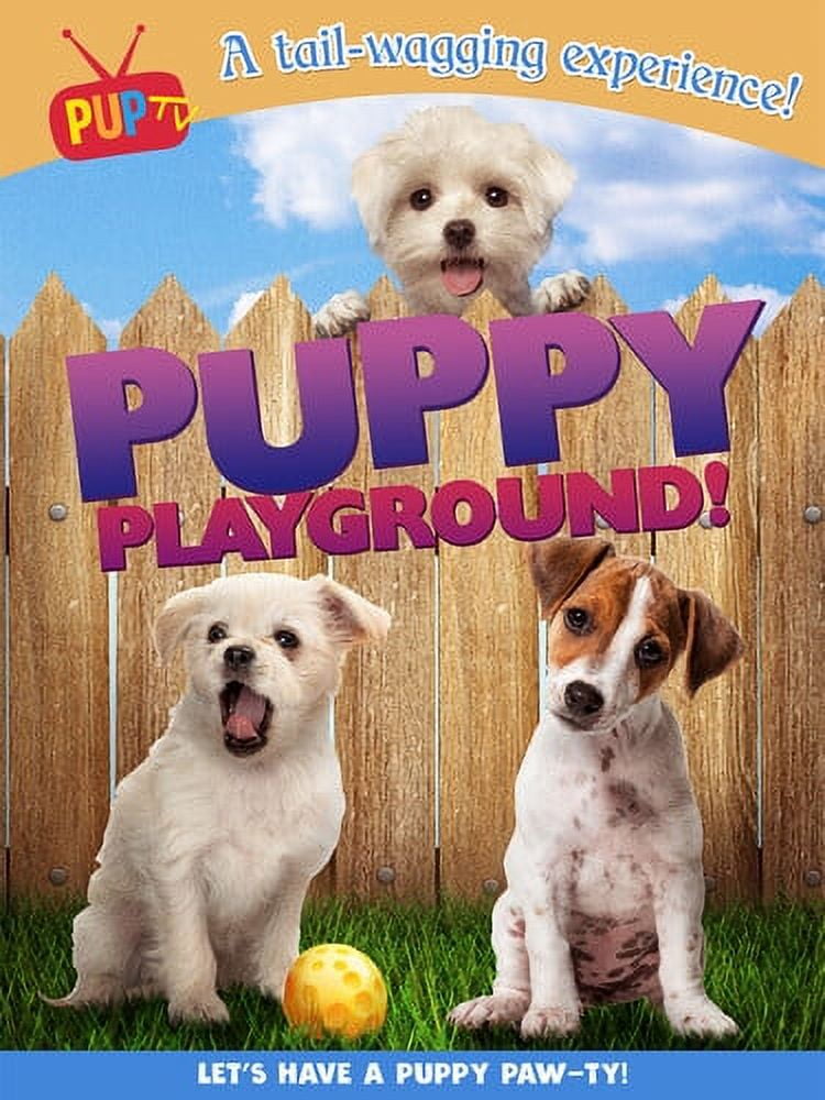 Puppy Playground (DVD), Wownow, Kids & Family - Walmart.com