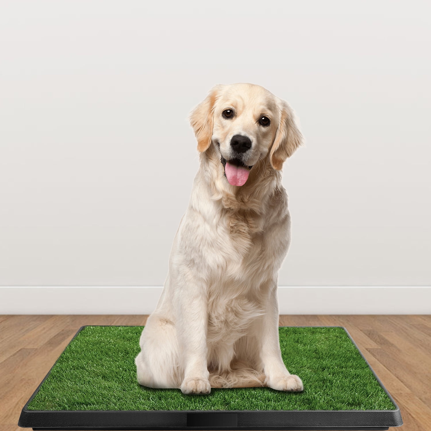 Puppy Potty Training Grass TeqHome Pet Toilet Trainer Mat for Small ...