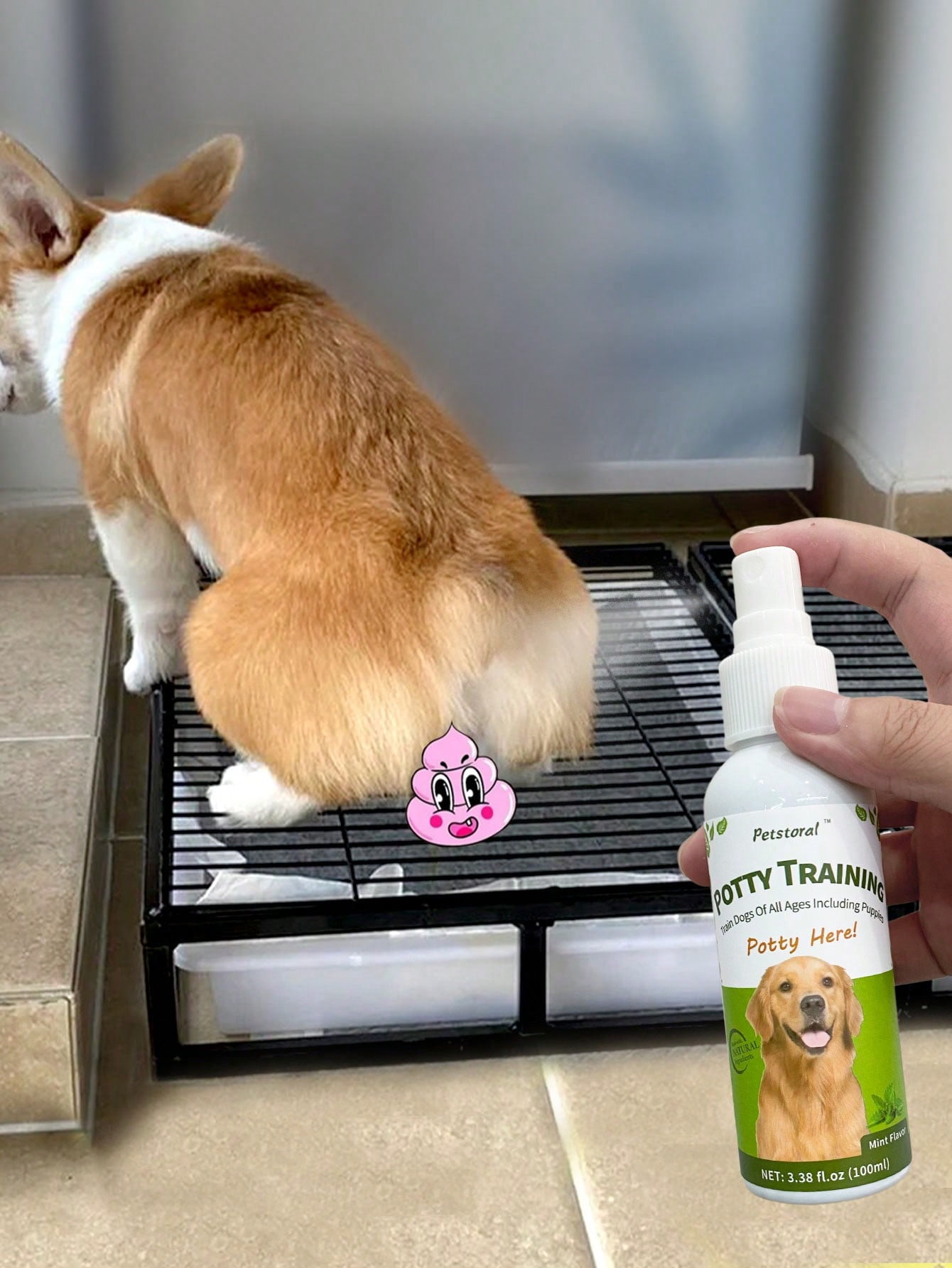 Puppy Potty Training Spray – Encourages Dogs to Pee in One Spot, Indoor ...