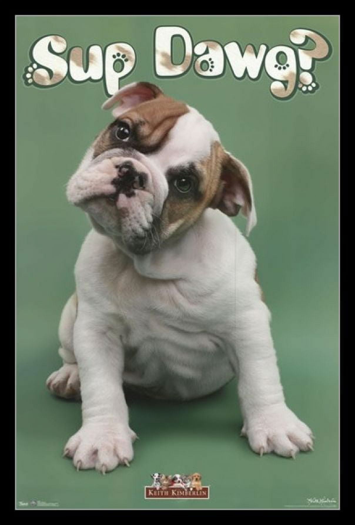 Puppy - Sup Dawg Laminated & Framed Poster Print (24 x 36) - Walmart.com