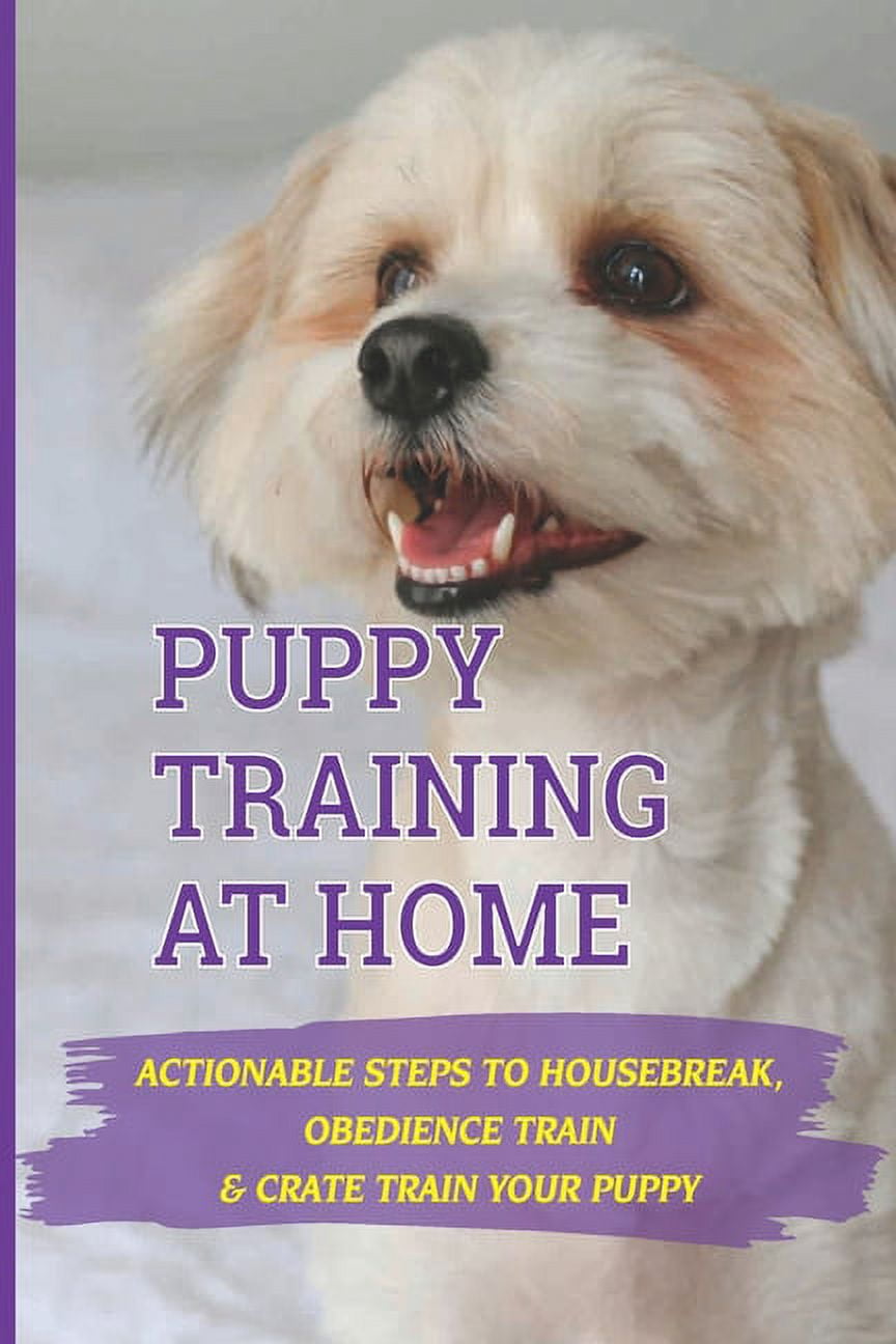 Puppy Training At Home: Actionable Steps To Housebreak, Obedience Train ...