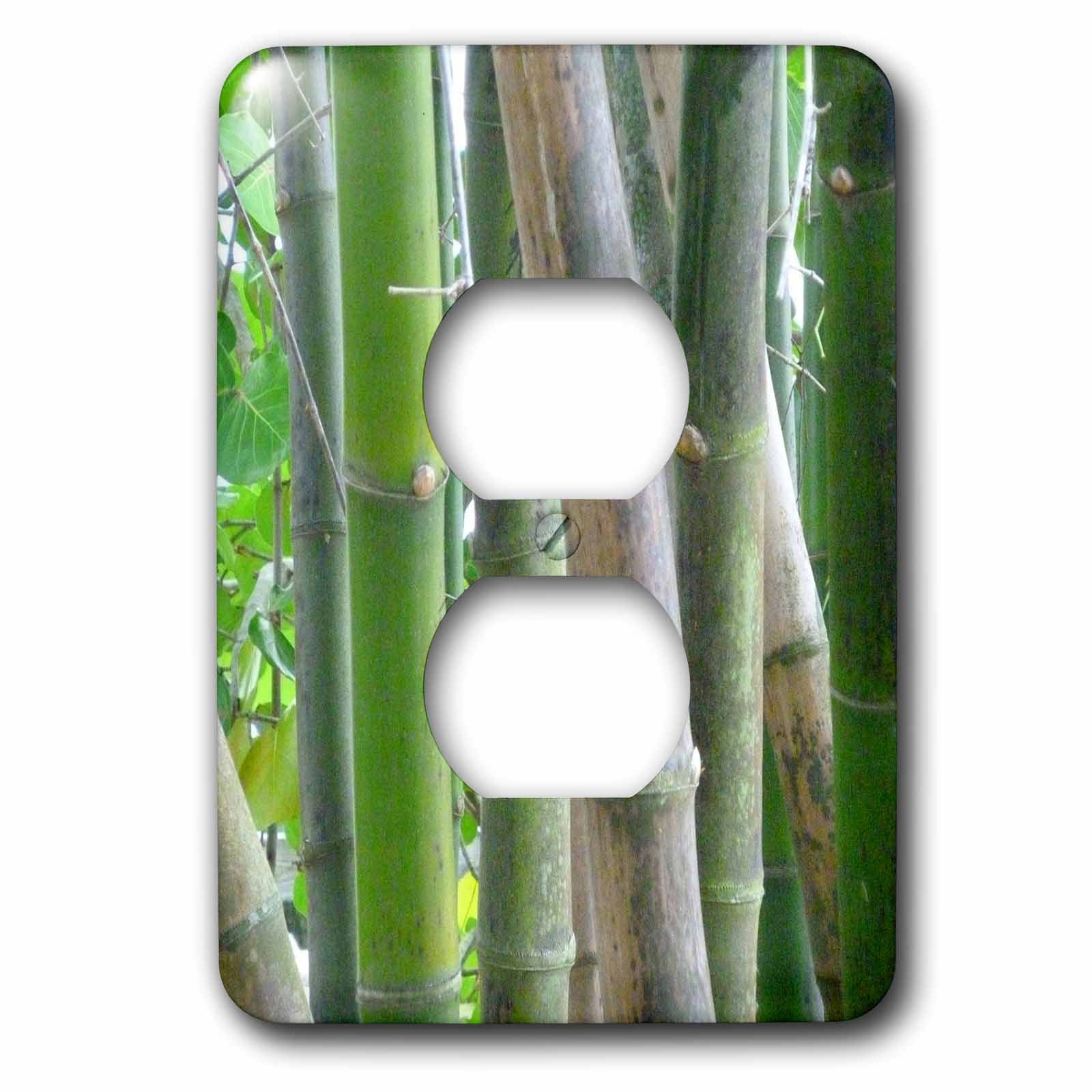 3dRose, Pure Bamboo, 2 plug outlet cover - Walmart.com