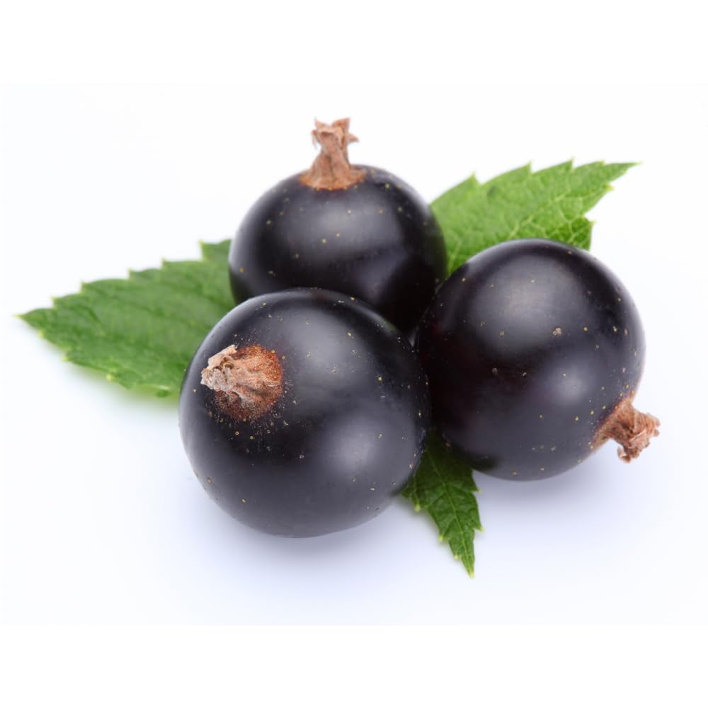 Pure Blackcurrant Extract, Cassis Flavoring for Baking, Beverages, Deep ...