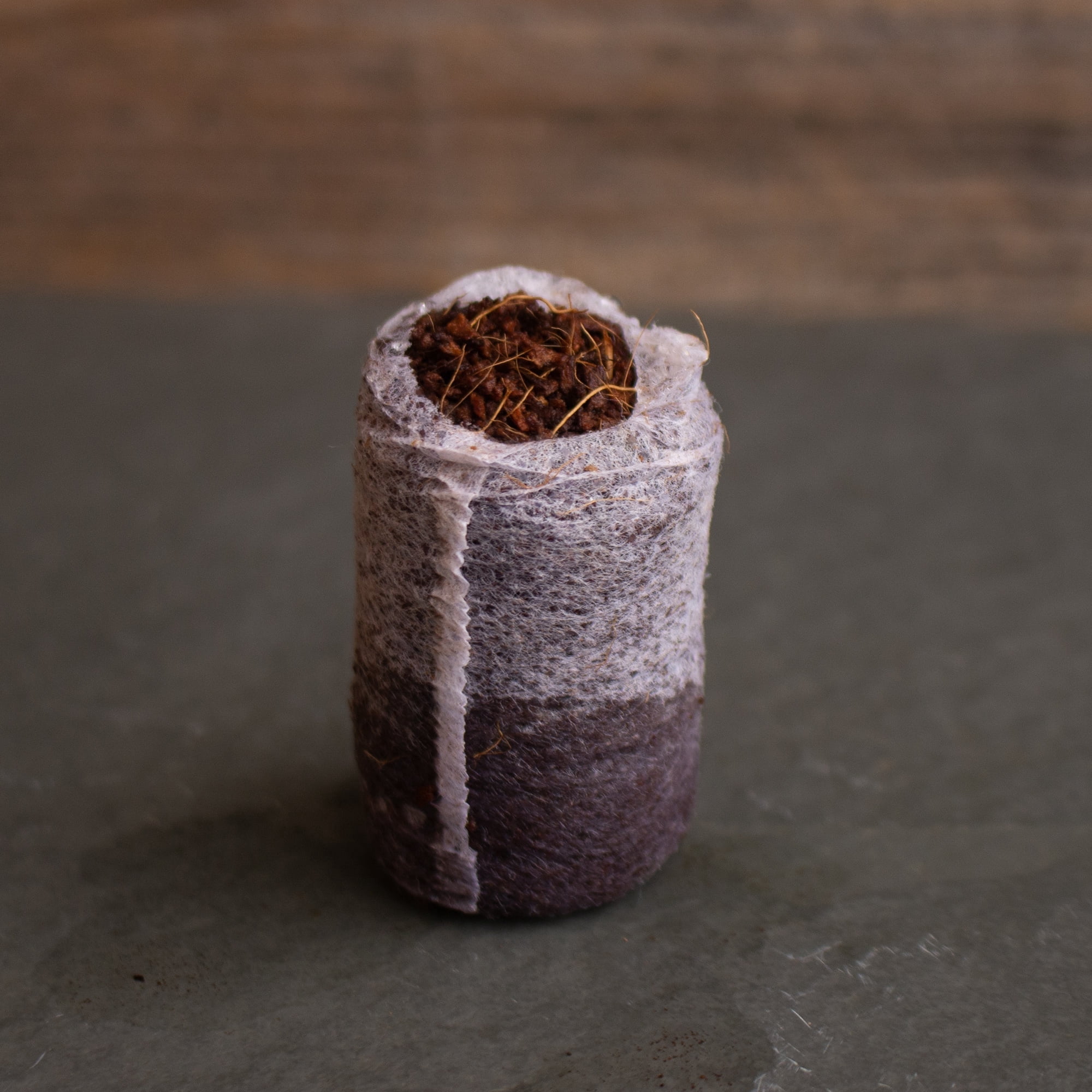 Pure Coco Coir Netted Seed Starting Pellets - 30mm - Pack of 100 ...