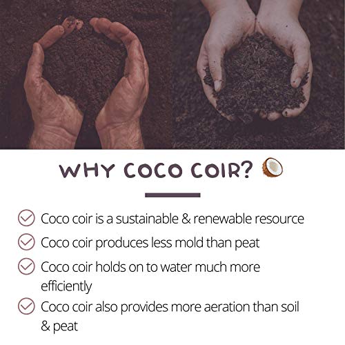 Pure Coconut Coir Netted Seed Starting Pellets - 42mm - Pack of 100 ...
