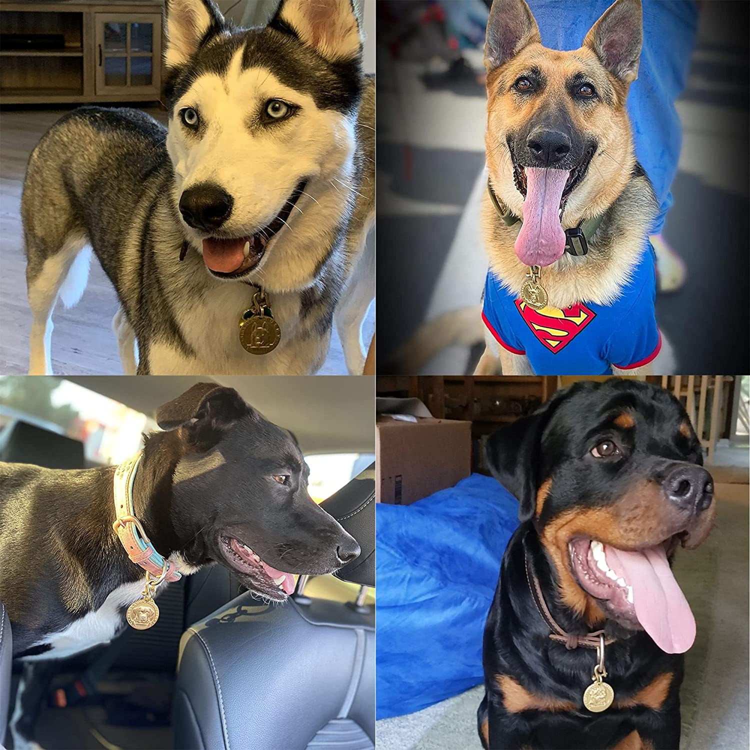 Pure Copper Pet Id Tags, Personalized Dog Tags,Three-Dimensional Relief ...