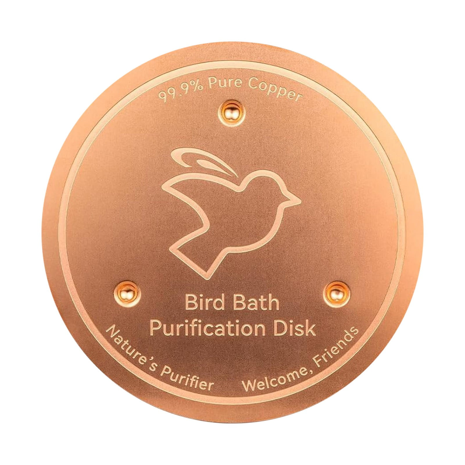 Pure Copper Water Purification Tablets Bird Baths Disk Cleaner Algae ...