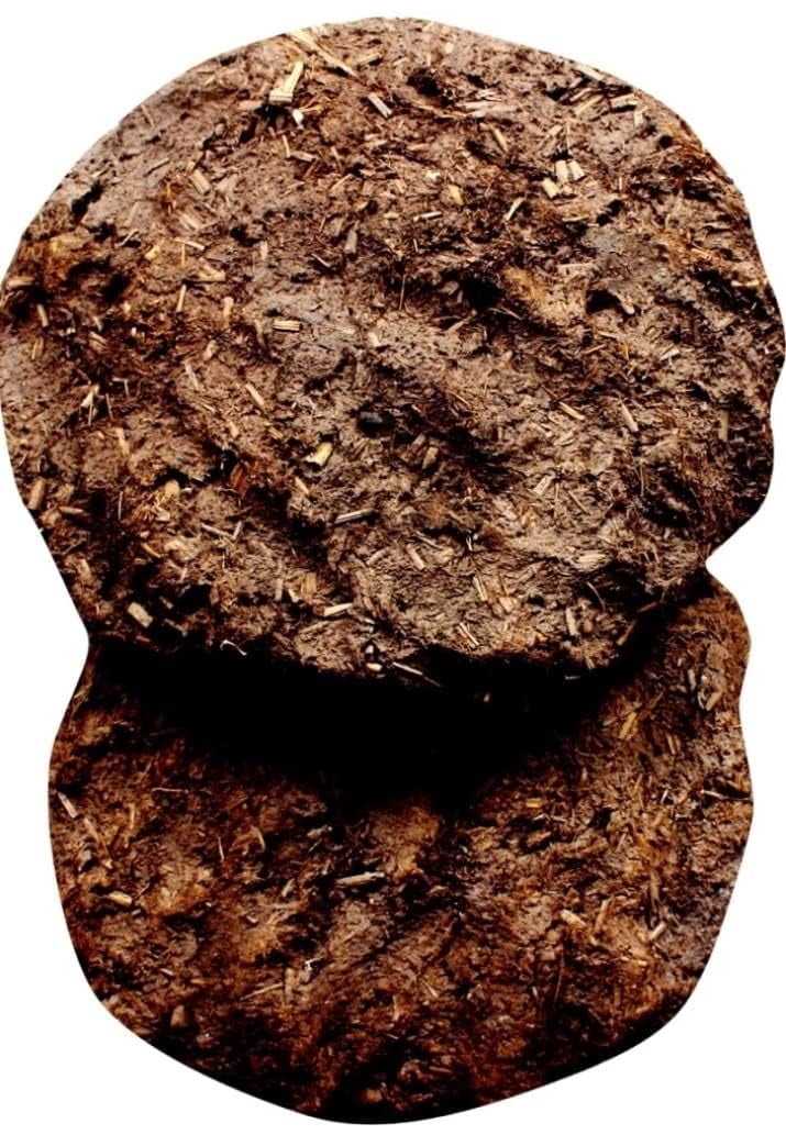 Pure CowBuffalo Dung Gobar Big Uplauplay CowKandeCow Dung Cake for ...