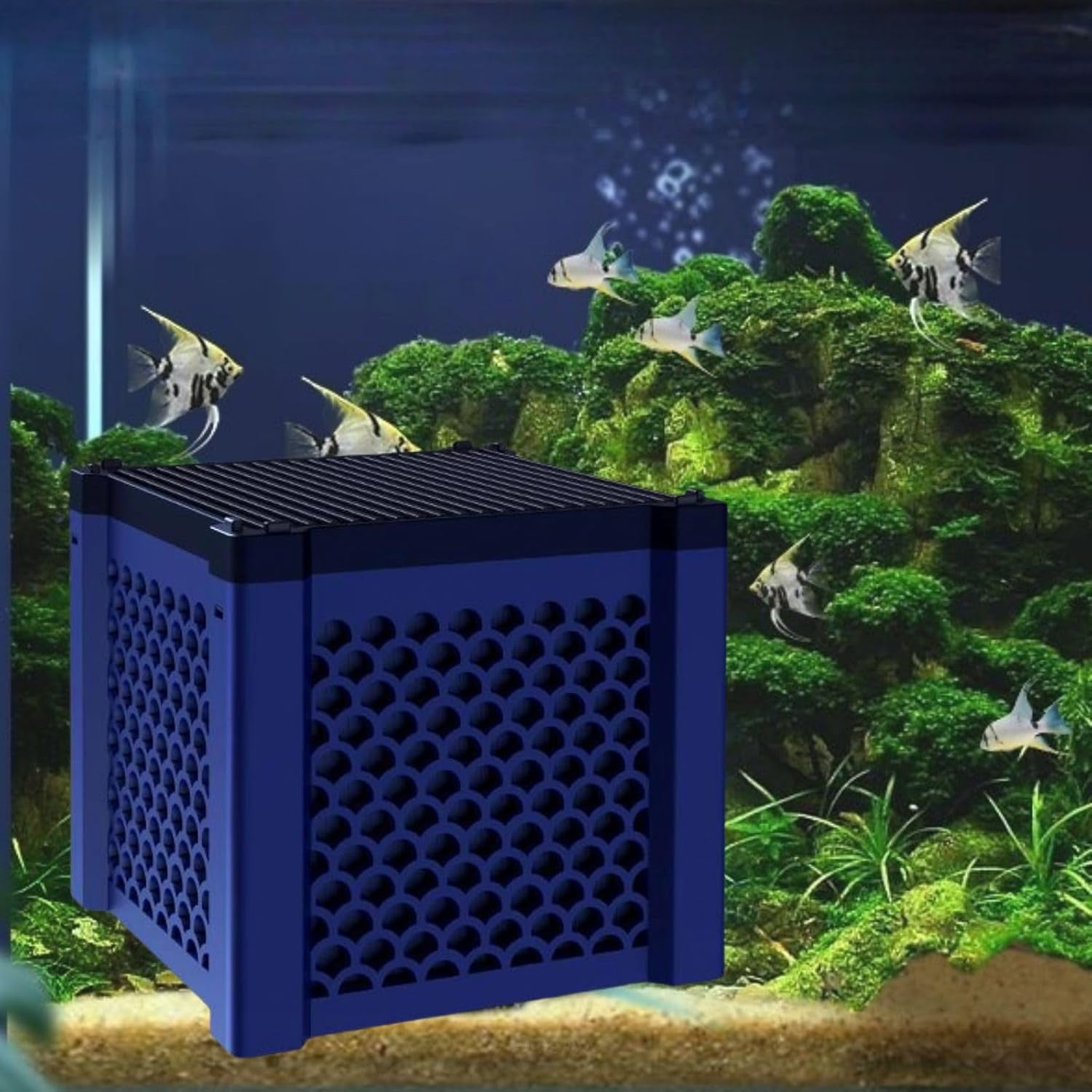 Pure Cube Water Trough Filter, Water Trough Purifier Cube, Activated ...