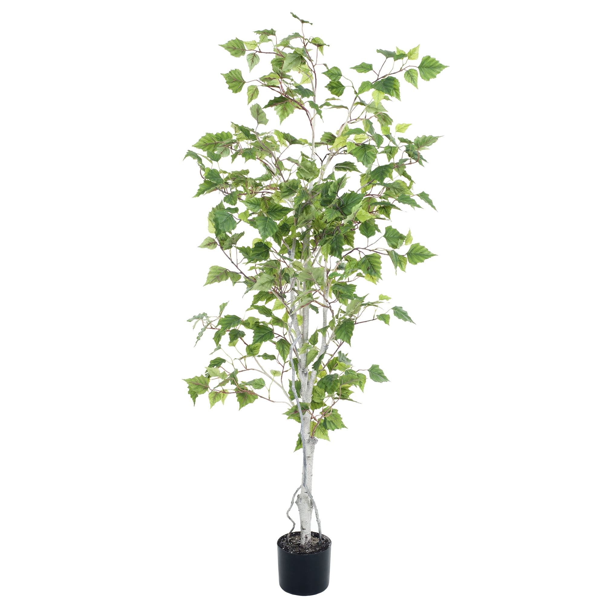 Pure Garden 5 Foot Birch Artificial Tree with Natural Looking Leaves ...