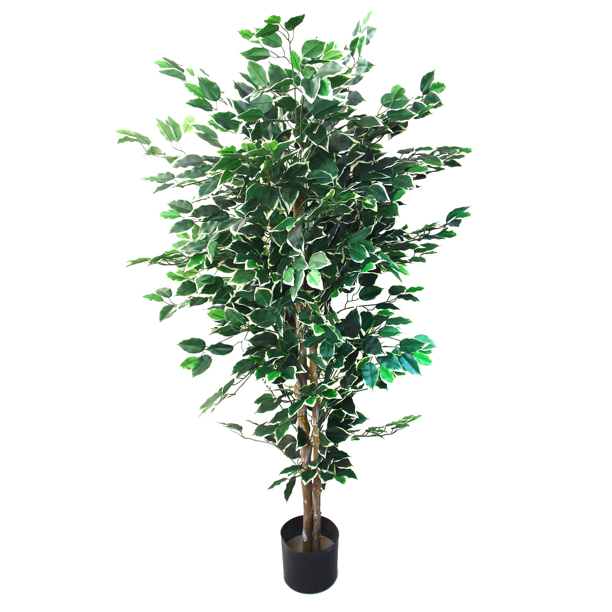 Pure Garden Ficus Artificial Tree - Fake Plant with Variegated Leaves ...