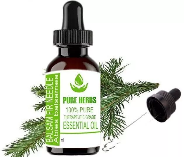 Pure Herbs Balsam Fir Needle Abies Balsamea 100% Pure & Natural ...
