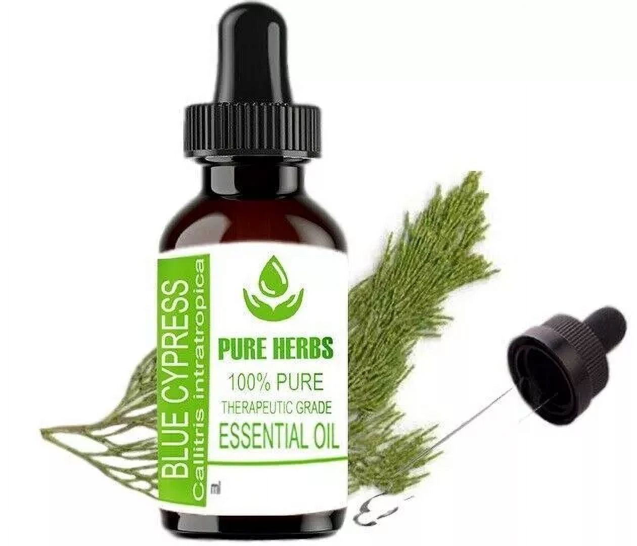 Pure Herbs Blue Cypress 100% Pure Callitris Intratropica Essential Oil - Walmart.com