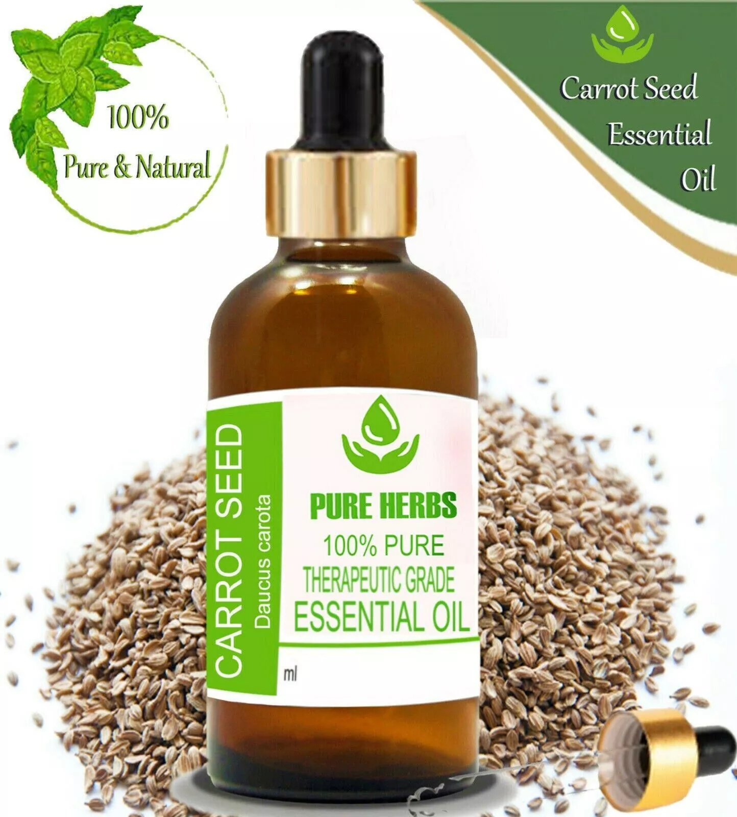 Pure Herbs Carrot Seed 100% Pure & Natural Daucus carota Essential Oil ...