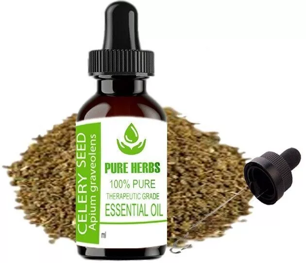 Pure Herbs Celery Seed 100% Pure & Natural Apium graveolens Essential ...
