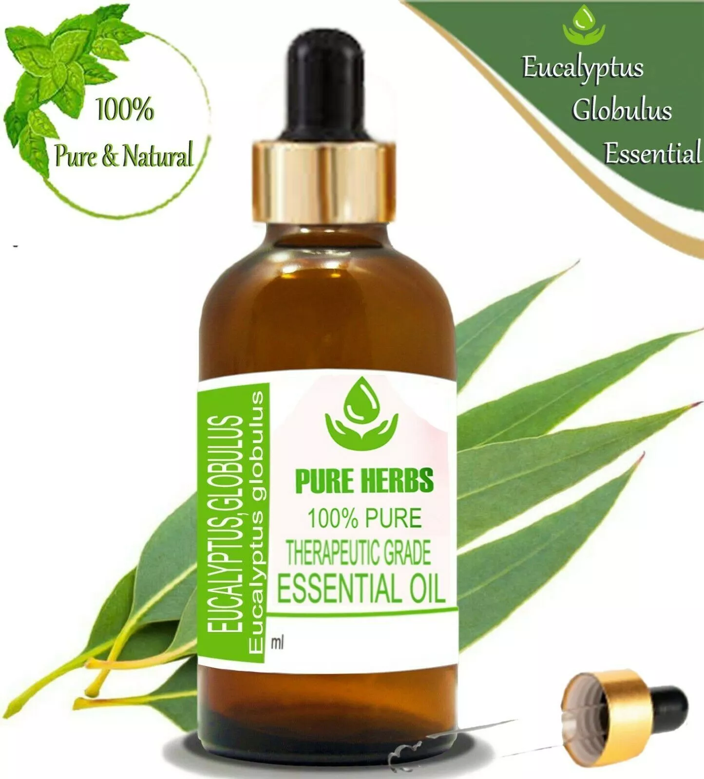 Pure Herbs Eucalyptus Globulus 100% Pure & Natural Essential Oil ...