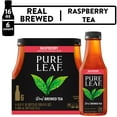 Pure Leaf Raspberry Real Brewed Iced Tea, 16.9 oz, Six Pack Bottles ...