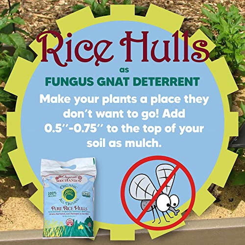 Pure Rice Hulls, 2 Cubic Foot - A Sustainable Alternative to Perlite ...