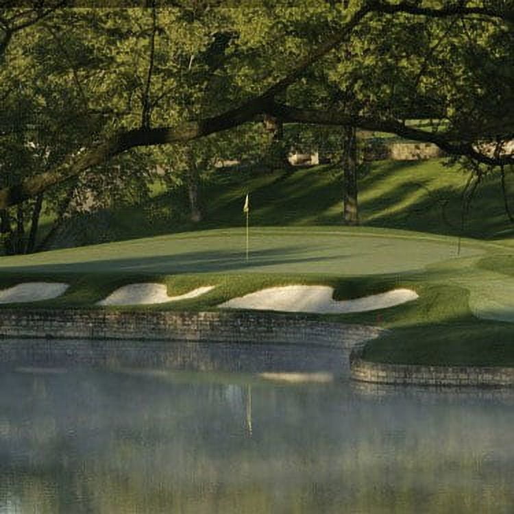 Outsidepride 25 lb. Pure Select Creeping Bent Grass Seed for Putting ...