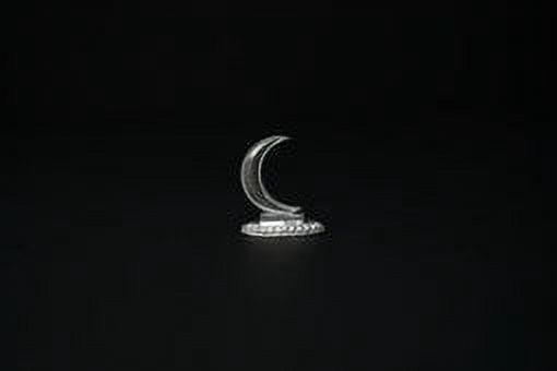 Pure Silver Moon Idol 10.38grams - Walmart.com