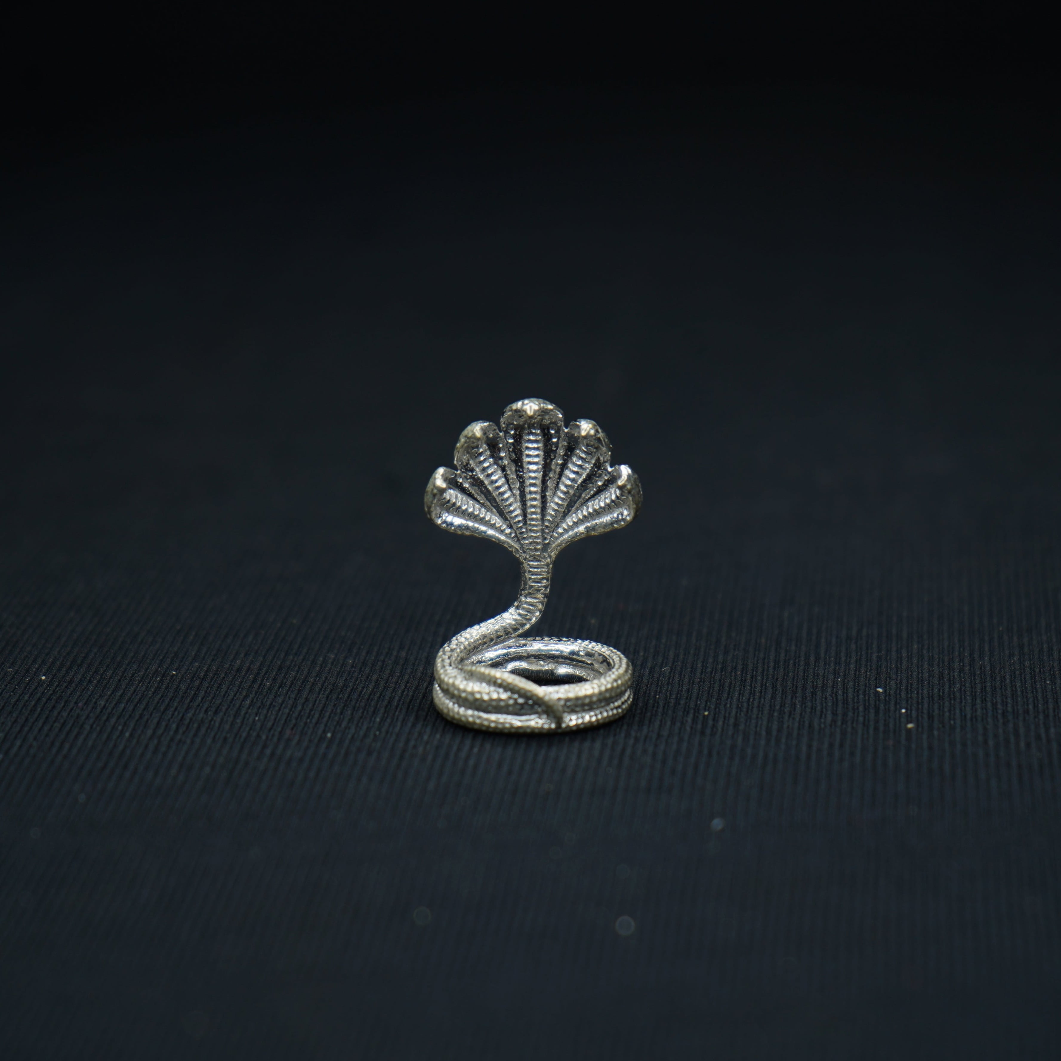 Pure Silver Plain Snake 12g, Pure Silver Snake Naag for Puja Pooja ...