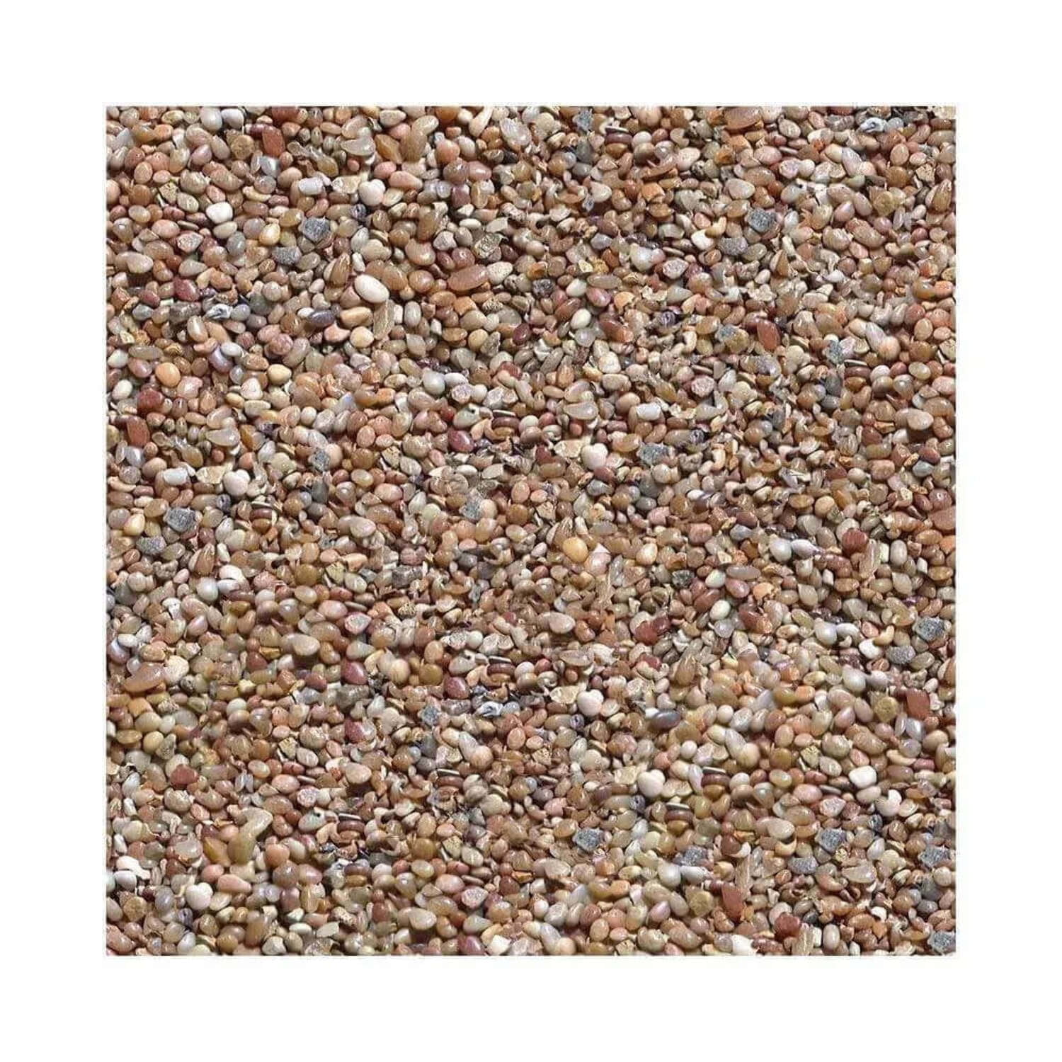 Pure Water Pebbles Aquarium Gravel - Cumberland River Gems, 5 lbs (6.3 ...