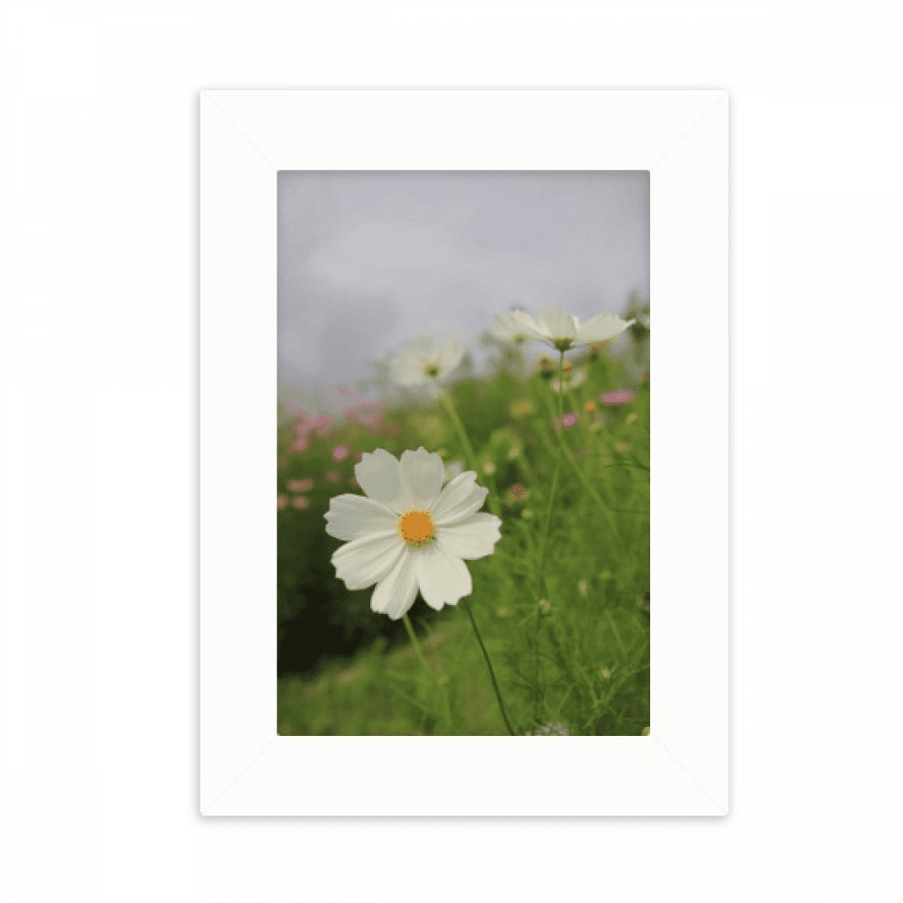 Pure White Cosmos Art Deco Fashion Desktop Photo Frame Picture Display ...