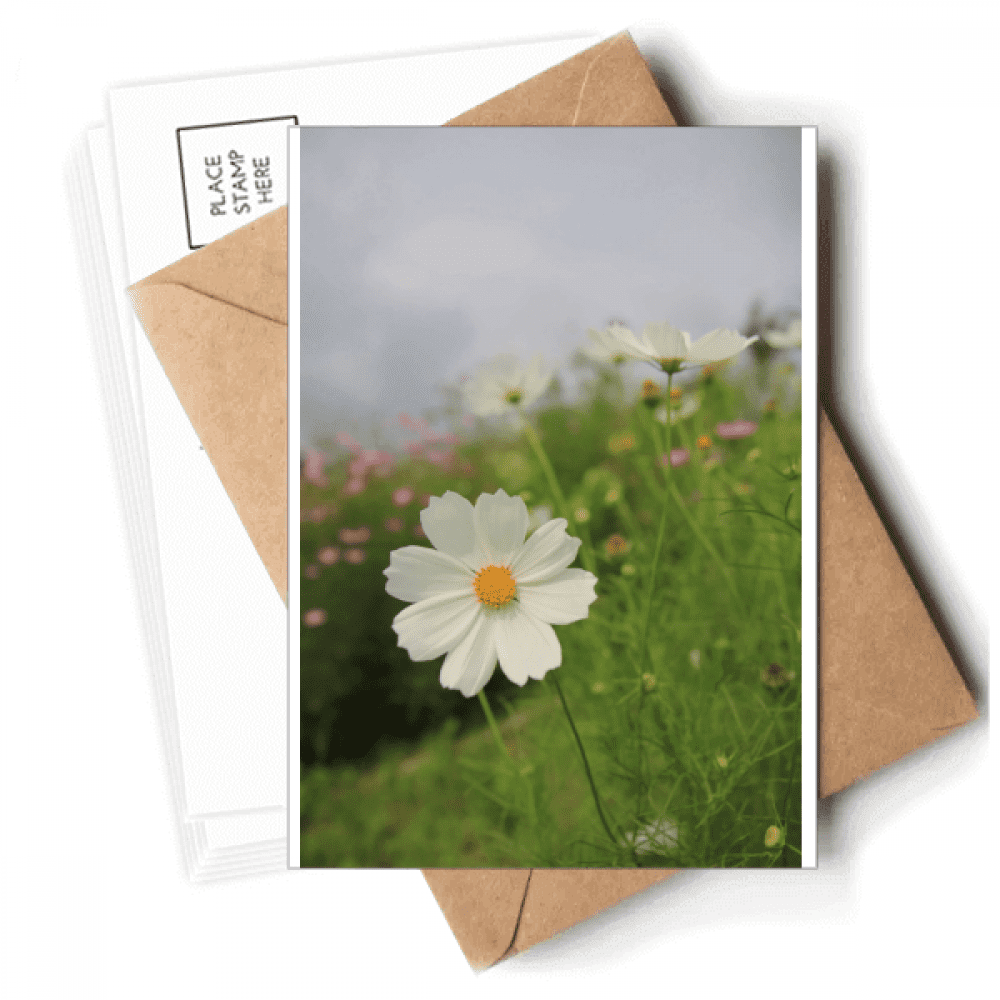 Pure White Cosmos Art Deco Fashion Postcards Envelopes Blank Note Cards ...