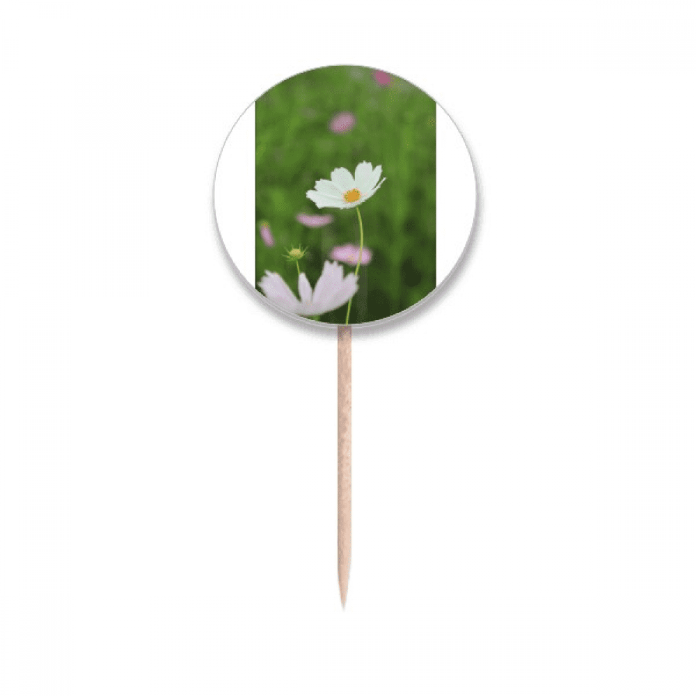 Pure White Cosmos Art Deco Fashion Toothpick Flags Round Labels Party ...