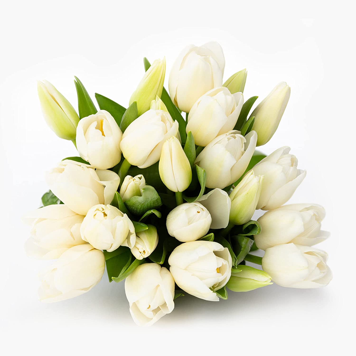 Pure White s, 25 Stunning Stems, Bright , Farm Flowers | Care Card ...