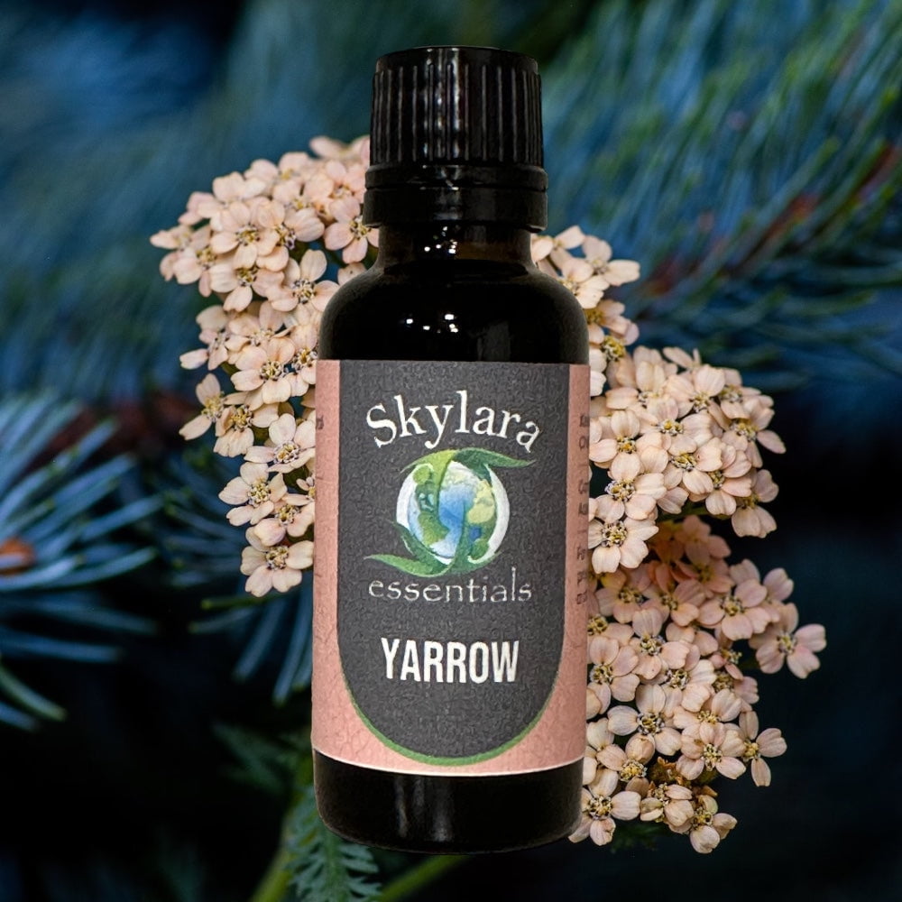 Pure and Natural Yarrow Essential Oil - Therapeutic Grade - Walmart.com