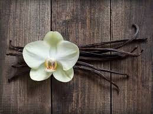 Pure vanilla beans GRADE A (6 inch +) 10 count . Products of Sri Lanka ...