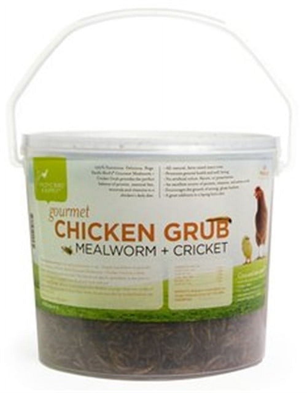 PureBird Wax Worm Treat for Wild Birds, 2.4-Ounce - Walmart.com