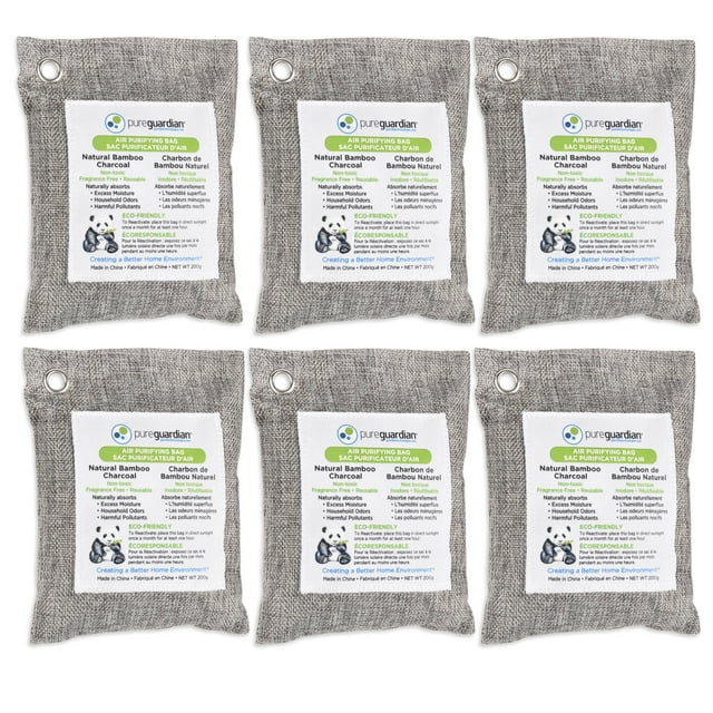 PureGuardian 200g Bamboo Charcoal Air Purifying Bag with Odor Control, 6-Pack, CB2006PK ...
