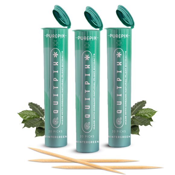 Toothpicks in Disposable Tableware - Walmart.com