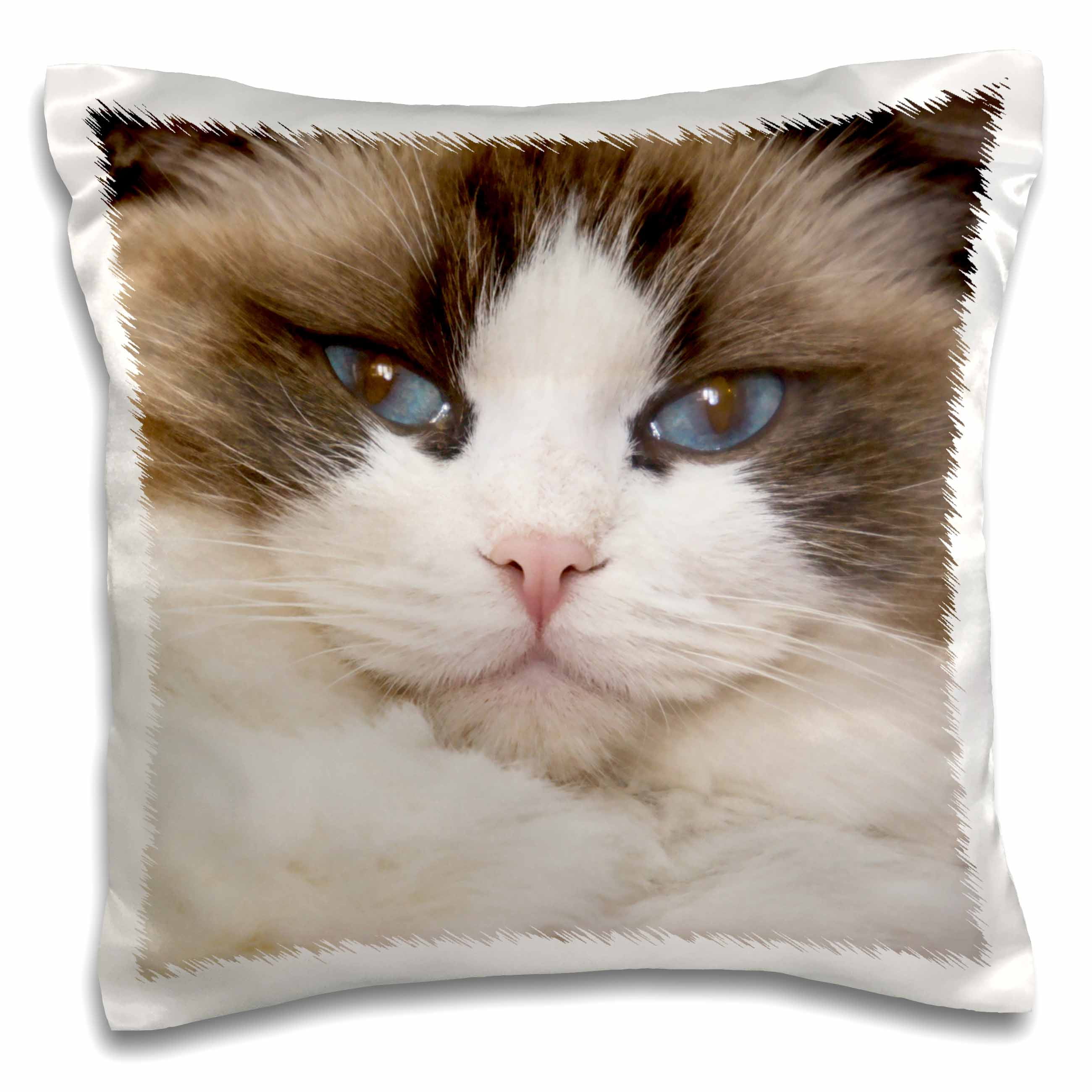 3dRose, Purebred Rag Doll Cat, Blue point - NA02 PWO0120 - PiperAnne ...