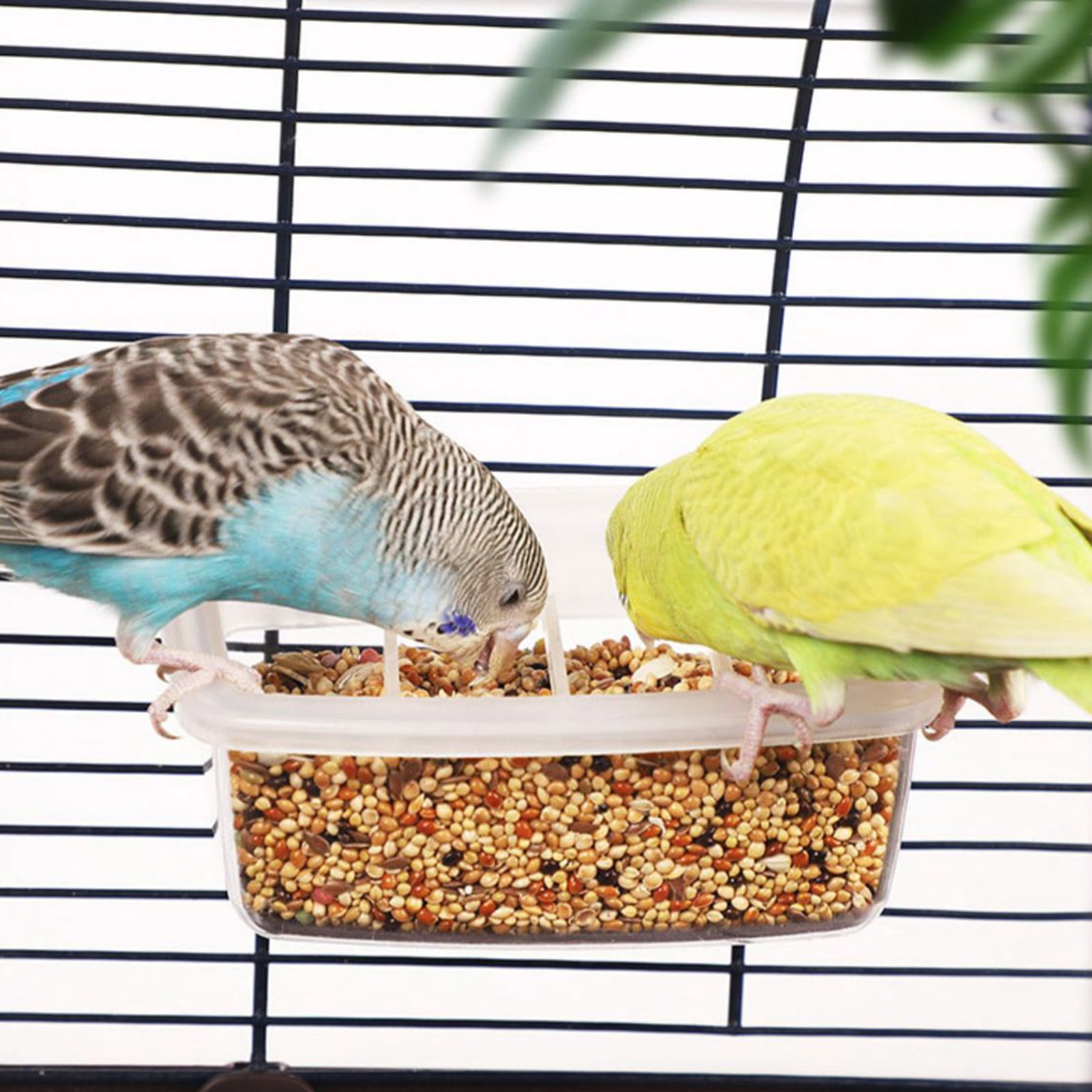 Pureoy Parrot Feeder Drinker ,Bird Food Box Hanging Bowl ,Anti-Spill ...