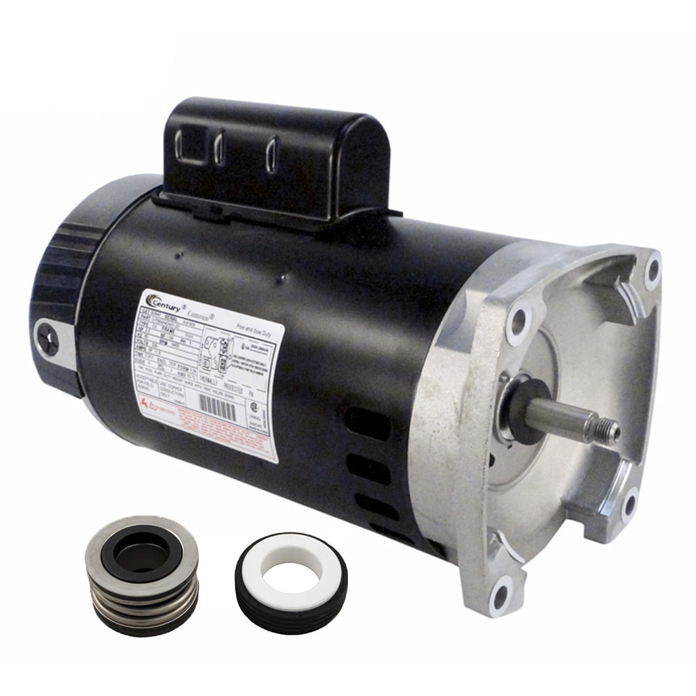 Puri Tech Motor and Seal Replacement Kit for AO Smith B2852 and PS-200 ...