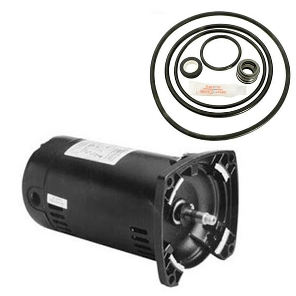 Puri Tech Replacement Motor Kit Sta-Rite Dyna-Glas .75HP MPRA6D-146L AO ...