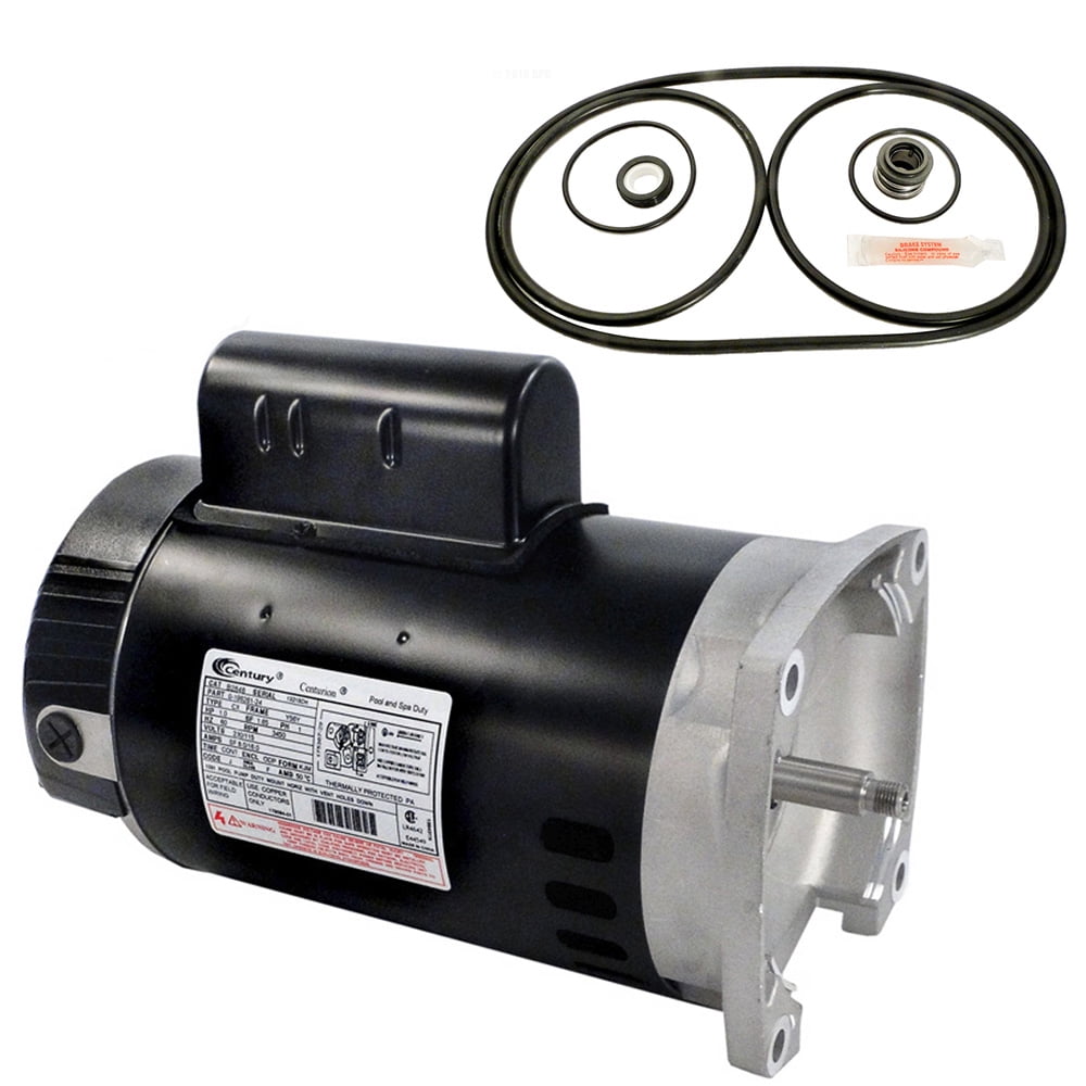 Puri Tech Replacement Motor Kit for Pentair Challenger 1HP CFII-NI-1F ...