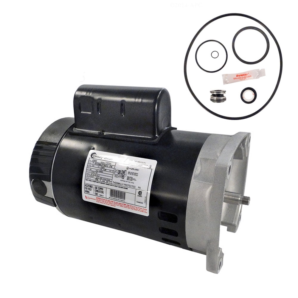 Puri Tech Sta-Rite SuperMax 1HP Replacement Motor Kit with AO Smith ...