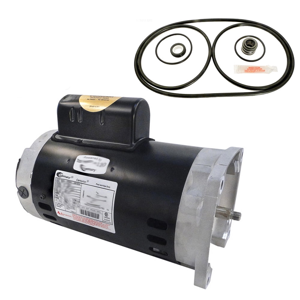 Puri Tech Replacement for Challenger 2HP CFI-NI-2FE Replacement Motor ...