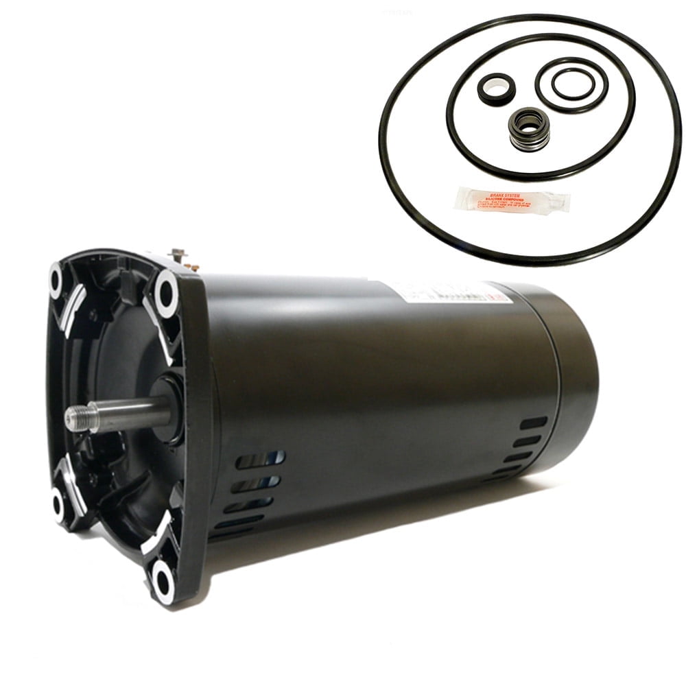 Puri Tech Sta-Rite Max-E-Glas II 1HP Replacement Motor Kit, AO Smith ...