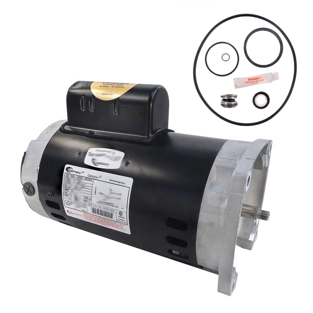 Puri Tech Sta-Rite SuperMax 2HP PHK2RA6G-104L Replacement Motor Kit AO ...