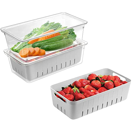 Puricon (2 Pack) Fresh Food Containers for Fridge, Fruit Storage ...
