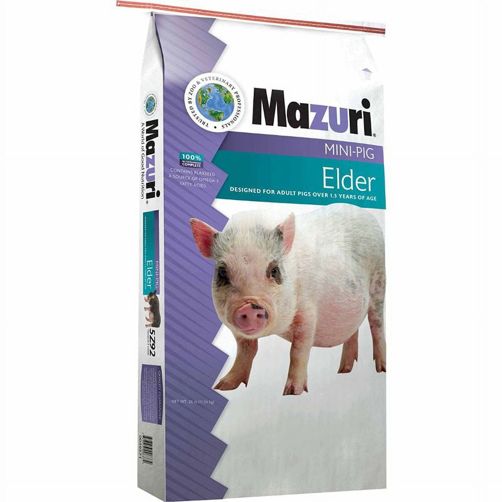Exotic Animal Supply - Walmart.com