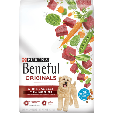 Hartz Dura Play Ball Squeaky Pet Dog Toy, Bacon Scented, Large, Color ...