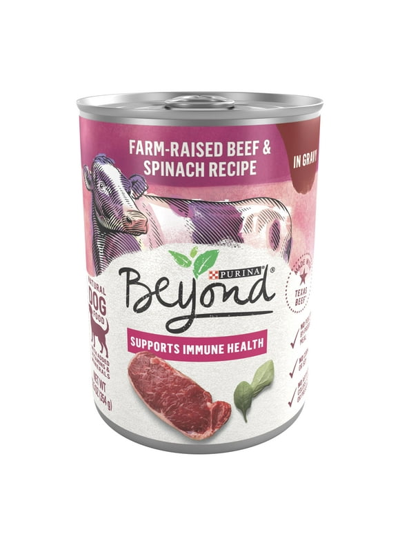 Purina Beyond Dog Food in Purina Beyond - Walmart.com