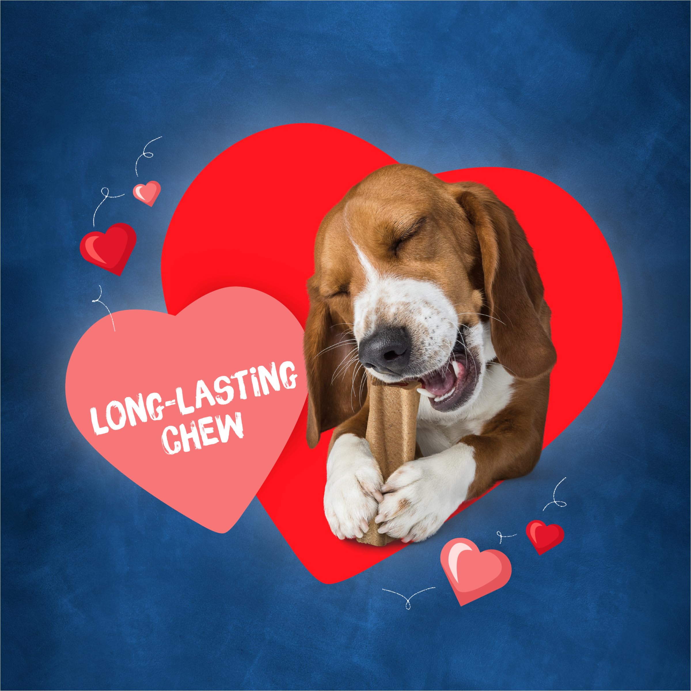 Purina Busy Made in USA Facilities Small/Medium H2FSDDog Bones ...