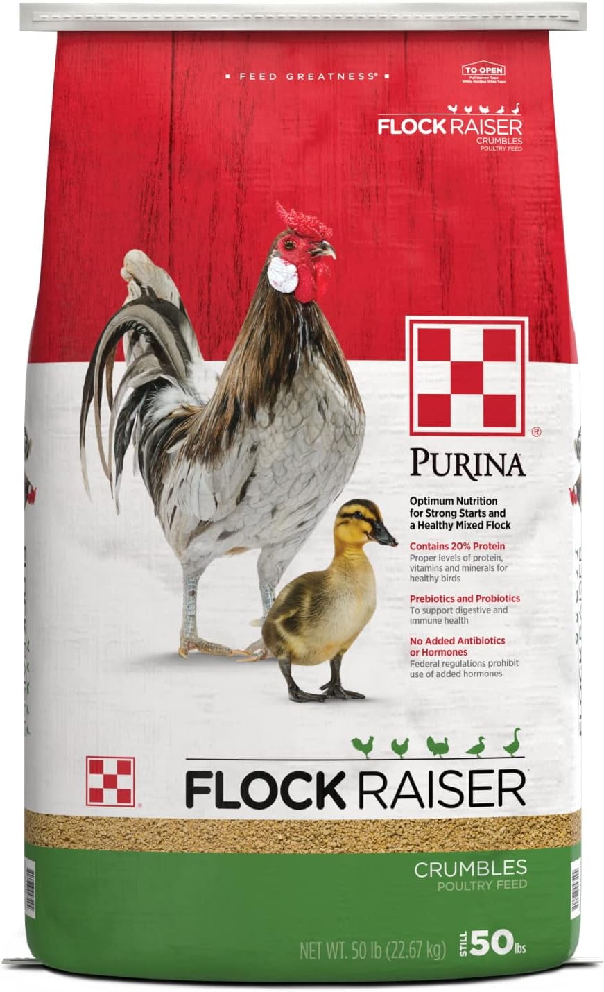 Purina | Flock Raiser Crumbles Poultry Feed | 50 Pound (50 LB) Bag ...